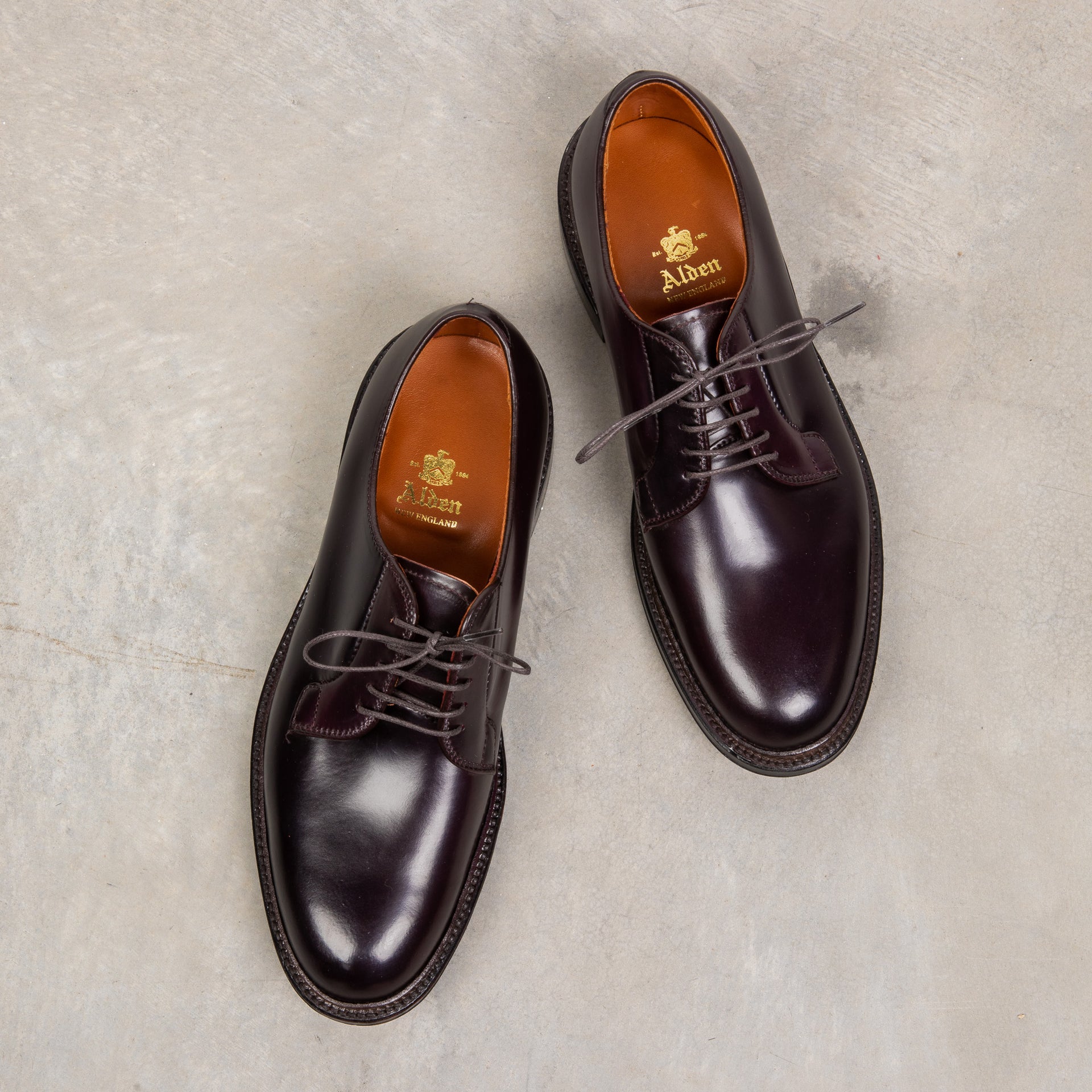Alden #8 Cordovan Plain Toe Blucher – Frans Boone Store